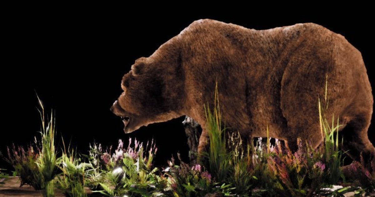 Sul Monte Generoso tornano orsi preistorici e uomini di Neandertal. In ...